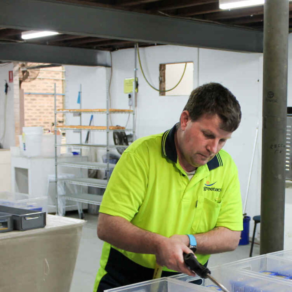 How It's Made – Marrowz